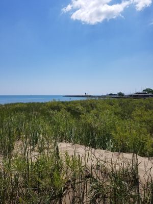 NORTH BEACH PARK - Updated July 2025 - 66 Photos & 20 Reviews - 1501 ...