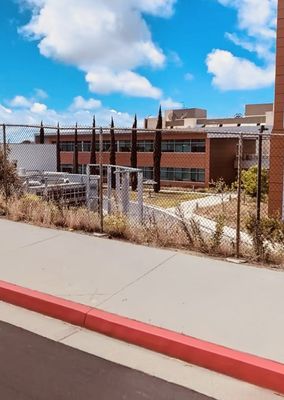 WEST LOS ANGELES COLLEGE - Updated December 2025 - 79 Photos & 120 ...