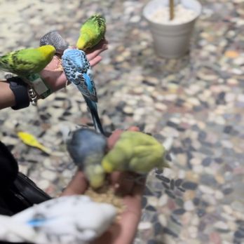 BLUE ZOO AQUARIUM BATON ROUGE - Updated February 2025 - 142 Photos & 22 ...