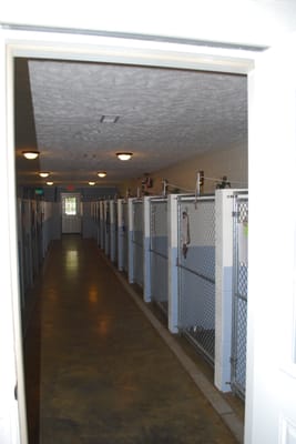 THE FAYETTEVILLE PET RESORT - Updated September 2025 - 18 Photos & 23 ...