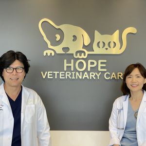 LOVE ANIMAL HOSPITAL AND URGENT CARE - Updated November 2024 - 19 ...