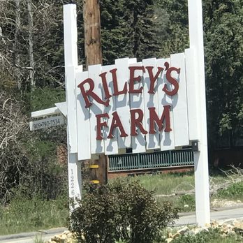 RILEY’S FARM - Updated September 2024 - 881 Photos & 412 Reviews ...