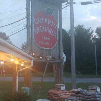 ONTARIO ORCHARDS - Updated January 2026 - 66 Photos & 35 Reviews - 7735 ...