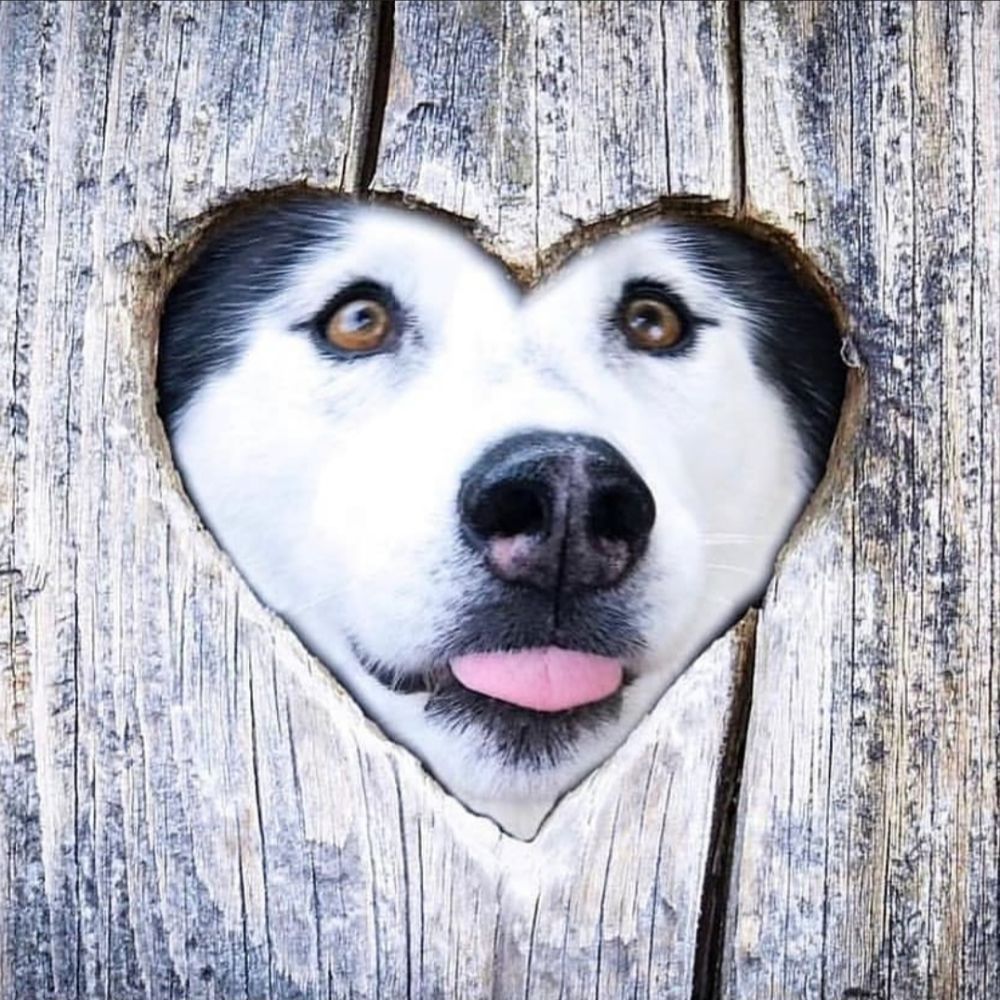 MICHELLE SULLIVAN - BIG BLOCK REALTY - 24 Photos - 2820 Camino Del Rio ...