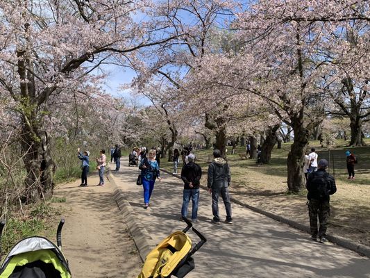 HIGH PARK - Updated April 2025 - 1008 Photos & 172 Reviews - 1873 Bloor ...