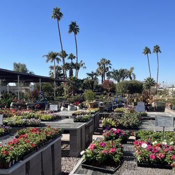 TREELAND NURSERIES - Updated December 2025 - 65 Photos & 80 Reviews ...