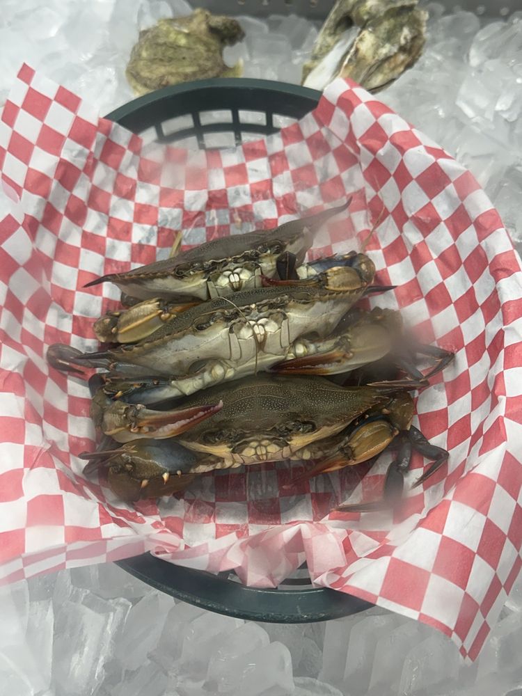 FISH NET SEAFOOD - Updated December 2025 - 46 Photos & 45 Reviews ...