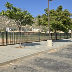 REID PARK - Updated June 2025 - 23 Photos & 12 Reviews - 800 N Orange ...