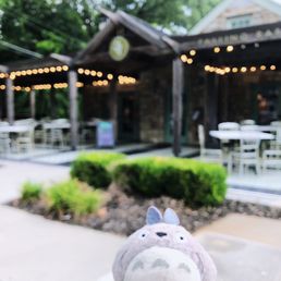 FALLING RABBIT - Updated October 2025 - 590 Photos & 162 Reviews - 3580 ...