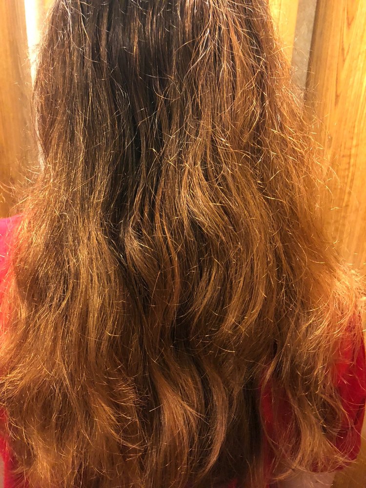 BANGS - Updated October 2025 - 94 Photos & 23 Reviews - 4960 Transit Rd ...