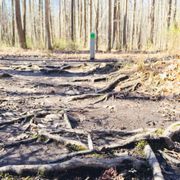 STUMPY LAKE NATURAL AREA - 238 Photos & 17 Reviews - 4794 Indian River ...