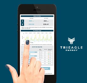 TRIEAGLE ENERGY - Updated October 2025 - 146 Reviews - 2620 Technology ...