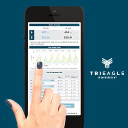 TRIEAGLE ENERGY - 99 Reviews - 2620 Technology Forest Dr, The Woodlands ...