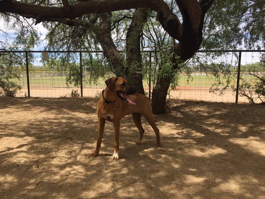 SMILING DOG RANCH AT GEORGE MEHL FAMILY PARK - Updated March 2025 - 27 ...