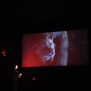 REGAL BIRKDALE - Updated October 2025 - 208 Photos & 114 Reviews ...