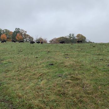 TREXLER NATURE PRESERVE - Updated December 2025 - 68 Photos & 29 ...