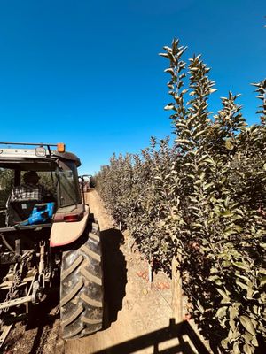 SILVERMAN’S FARM - Updated December 2025 - 206 Photos & 144 Reviews ...