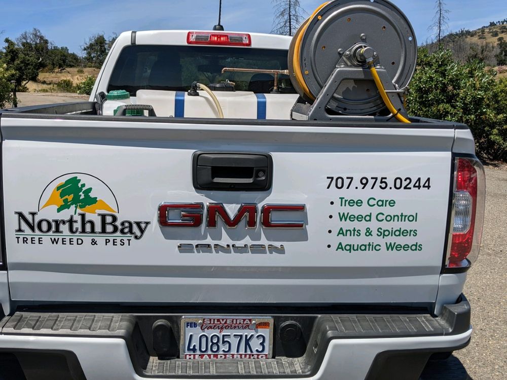Pest Control Santa Rosa Ca