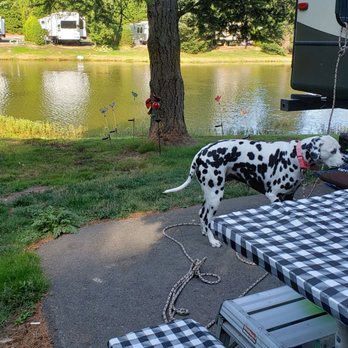 LAKE PLEASANT RV PARK - Updated May 2025 - 82 Photos & 83 Reviews ...