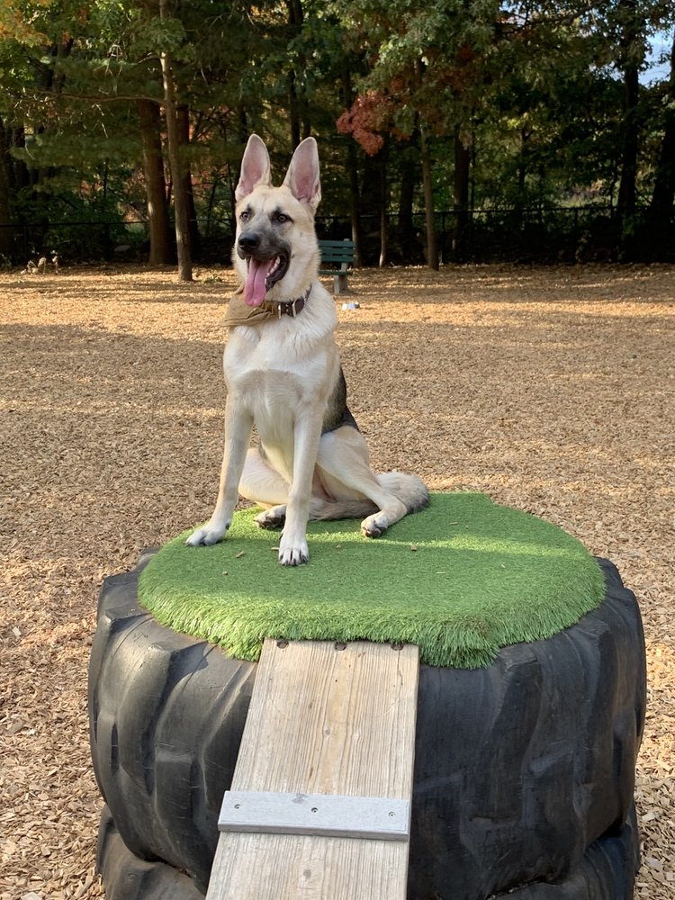 BARK PARK - Updated September 2024 - 18 Photos & 17 Reviews - 150 ...