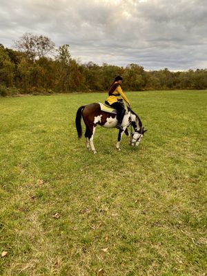 TOP VIEW RIDING RANCH - 91 Photos - 36 Hess Rd, Blairstown, New Jersey ...