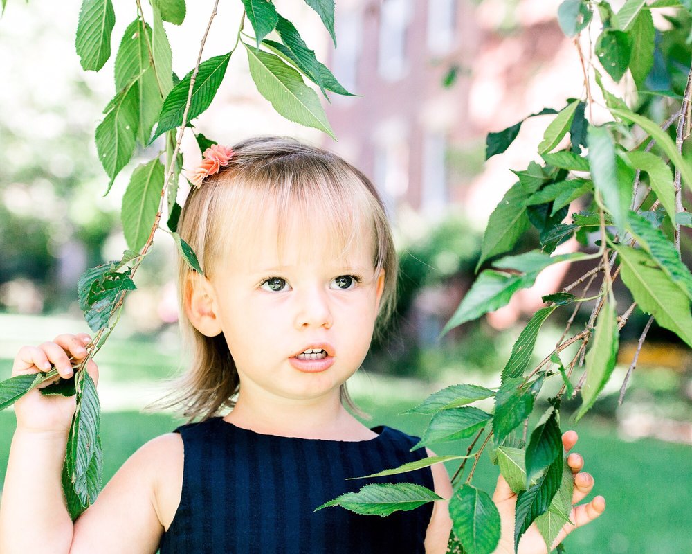 JILL BAKER PHOTOGRAPHY - Updated July 2024 - 10 Photos - Palisades, New ...