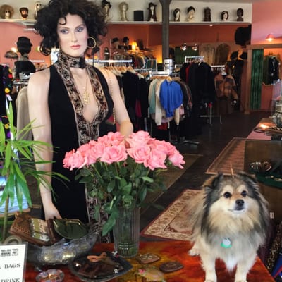 MAGPIE - Updated October 2025 - 35 Photos & 28 Reviews - 1960 SE ...