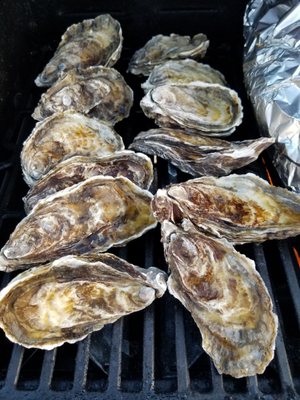 RAINBOW SEAFOOD MARKET - 20 Photos & 35 Reviews - 754 Pine Ave, Long ...