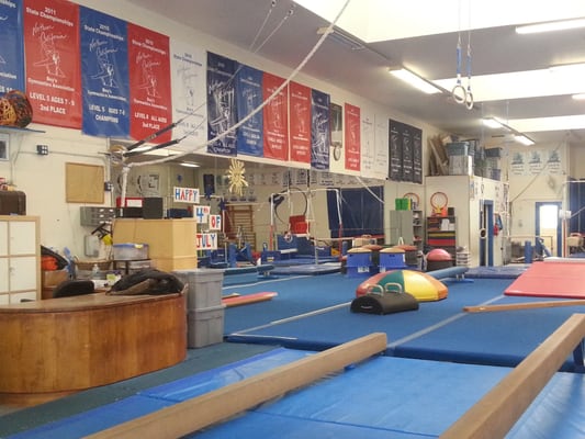 AMERICAN GYMNASTICS CLUB - Updated January 2025 - 30 Reviews - 2520 ...