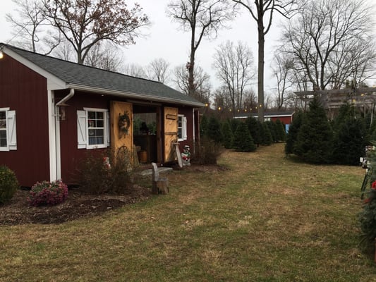 SABIA TREE FARM - Updated December 2025 - 772 Morehouse Rd, Easton ...