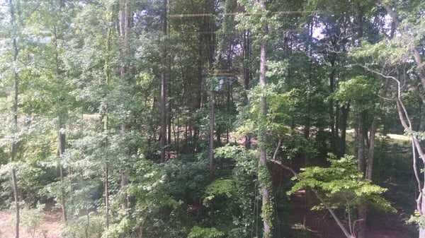 EAST ROSWELL LIBRARY - Updated December 2025 - 13 Photos & 16 Reviews ...