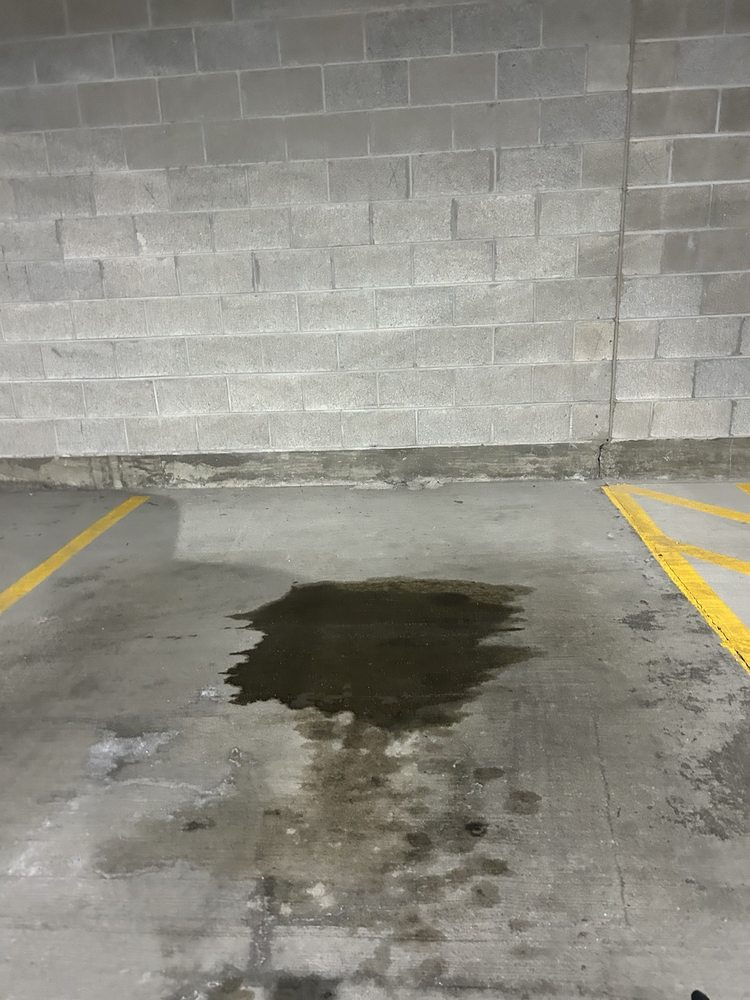 CAR CARE CHICAGO - GOODYEAR - Updated January 2026 - 27 Photos & 219 ...