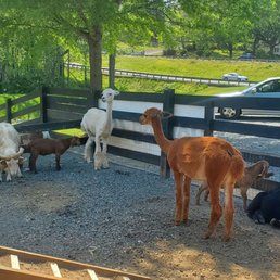 YODER’S COUNTRY MARKET - Updated July 2025 - 176 Photos & 115 Reviews ...