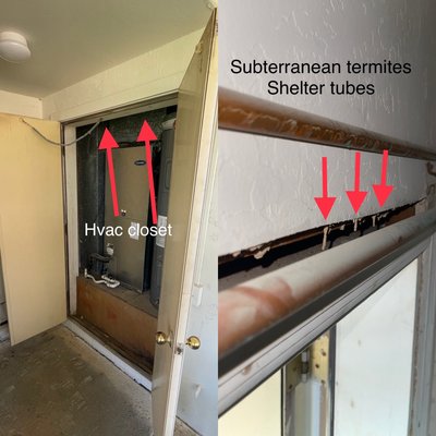 GRANADA PEST CONTROL - Updated June 2026 - 12 Photos & 14 Reviews ...