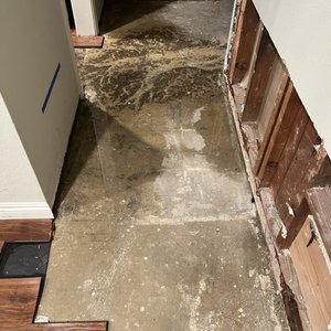 REGENCY MANAGEMENT INC - Updated February 2025 - 40 Photos & 73 Reviews ...