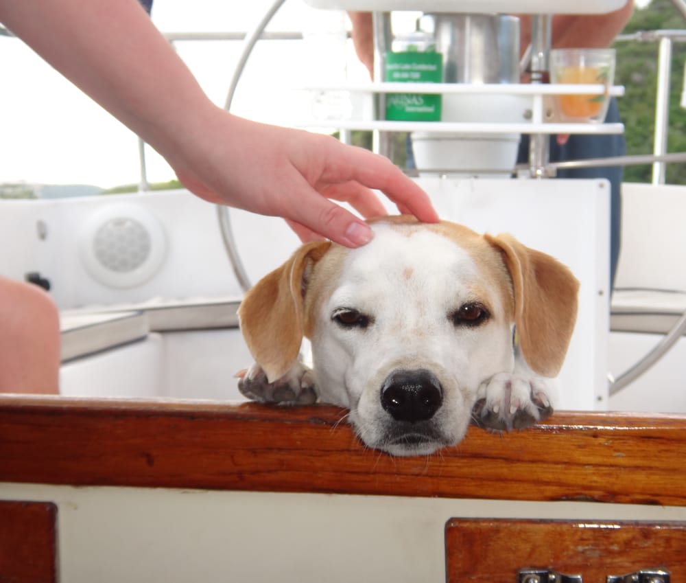 SIMPLICITY CHARTERS - Updated December 2025 - 6501 Red Hook Plz, St ...