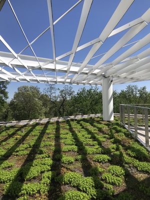 WOODRIDGE LIBRARY - Updated July 2025 - 14 Photos - 1801 Hamlin St NE ...