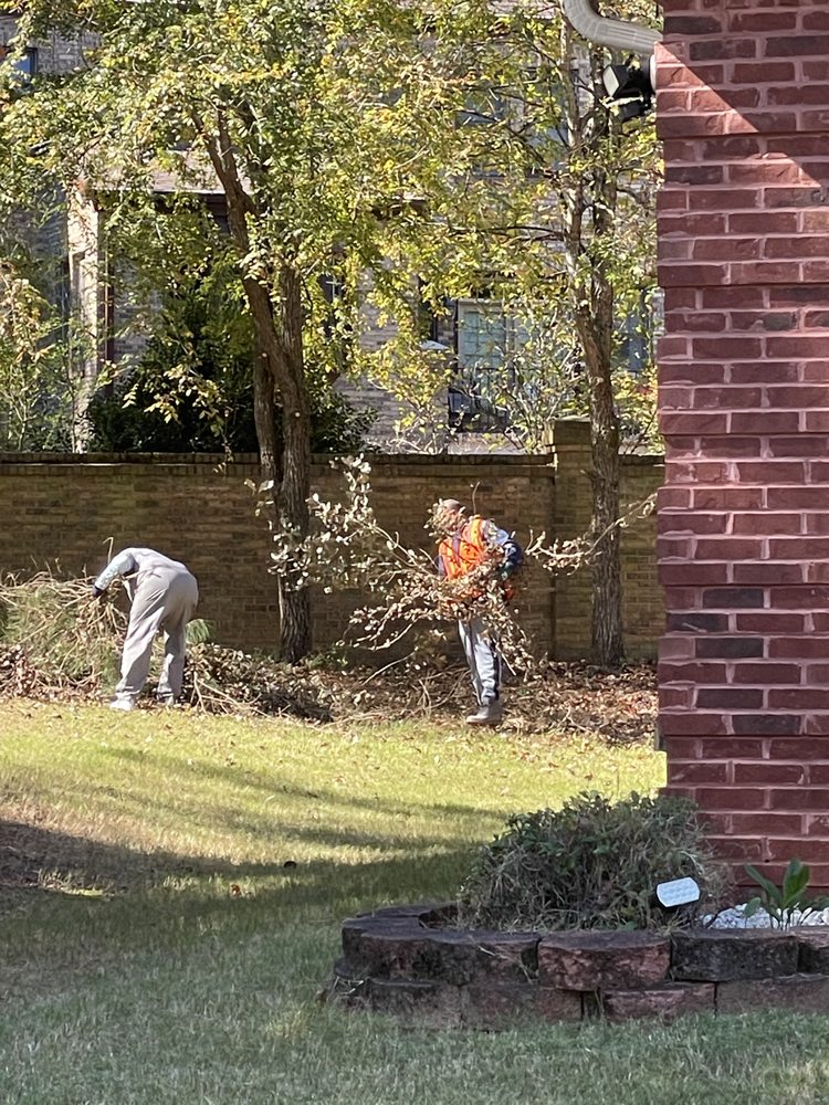 LITTER BUG PROFESSIONAL SOLUTIONS - Updated August 2025 - 26 Photos ...