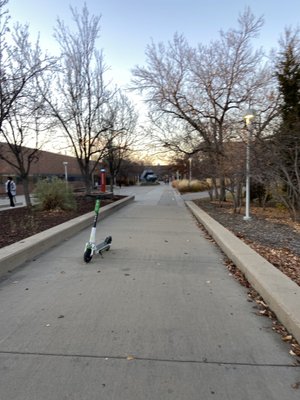 COMMUNITY COLLEGE OF DENVER - Updated December 2025 - 10 Photos & 50 ...