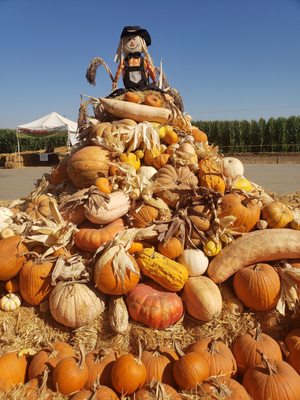 DAVIS RANCH, LLC - Updated May 2025 - 468 Photos & 167 Reviews - 13211 ...