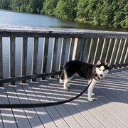 LAKE JOHNSON PARK | 273 Photos & 141 Reviews - 4601 Avent Ferry Rd ...