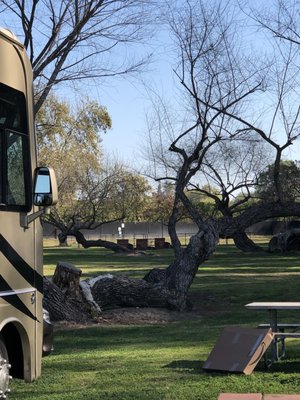 KINGS RIVER RV RESORT - Updated May 2025 - 47 Photos & 28 Reviews ...