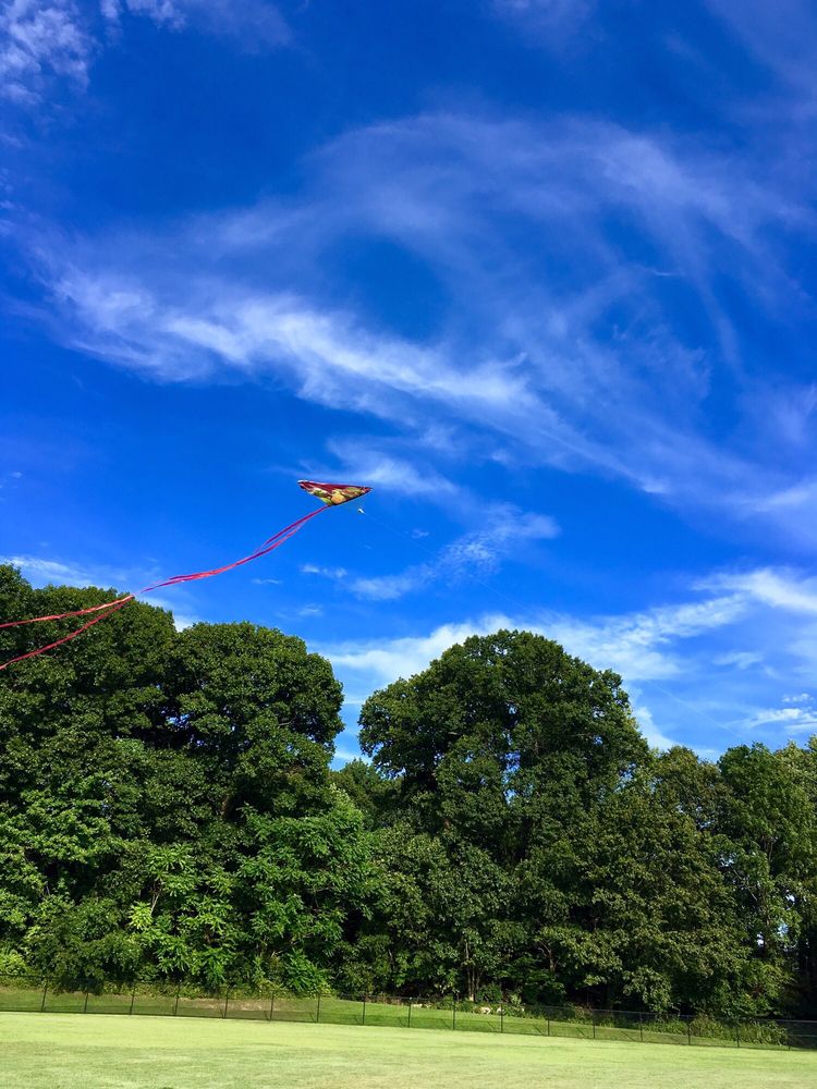 Christopher Morley Park - 22 Photos & 18 Reviews - Parks - 500 ...