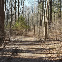 NOLDE FOREST ENVIRONMENTAL EDUCATION CENTER - 79 Photos - 2910 New ...