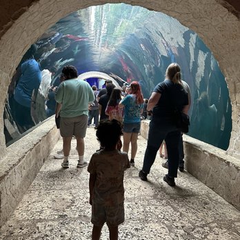 THE DALLAS WORLD AQUARIUM - Updated December 2024 - 3649 Photos & 1279 ...