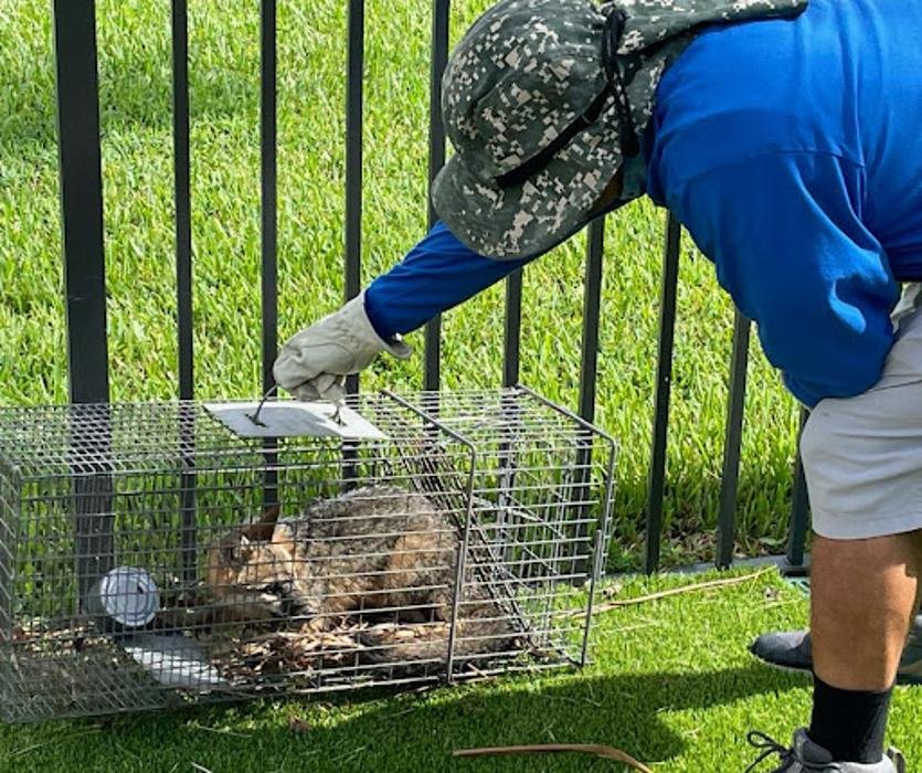 Rodent Control Boynton Beach