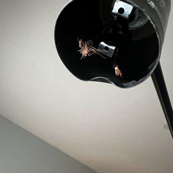 VALLEY LIGHT GALLERY - Updated February 2025 - 31 Photos & 71 Reviews ...