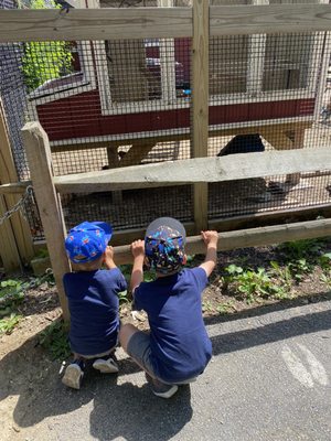 PHILLIPS PARK ZOO - Updated June 2024 - 227 Photos & 97 Reviews - 1000 ...