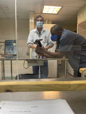 BROADWAY ANIMAL HOSPITAL - Updated June 2026 - 16 Photos & 130 Reviews ...