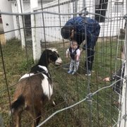 MUSCOOT FARM - 143 Photos & 37 Reviews - Farmers Market - 51 Rt 100 ...